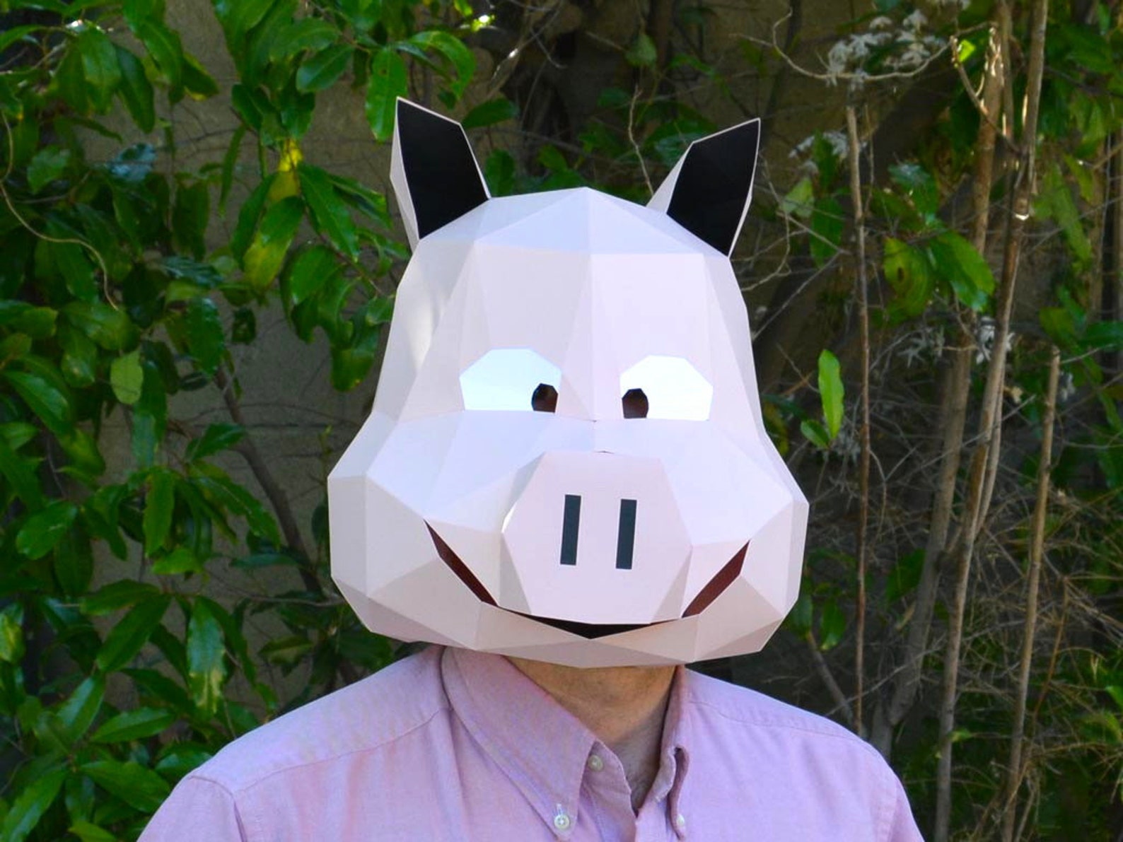 Toon Pig Mask Papercraft Pattern Cartoon Mask Printable - Etsy