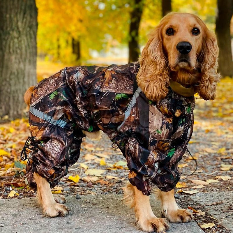 Hunde regen outfit - Etsy.de