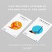 Printable Yoga Pose Flashcards - Chakras Edition - Spanish & Sanskrit ...