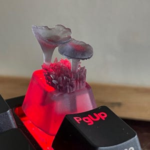 Keycap Mushroom Chanterelle - Etsy