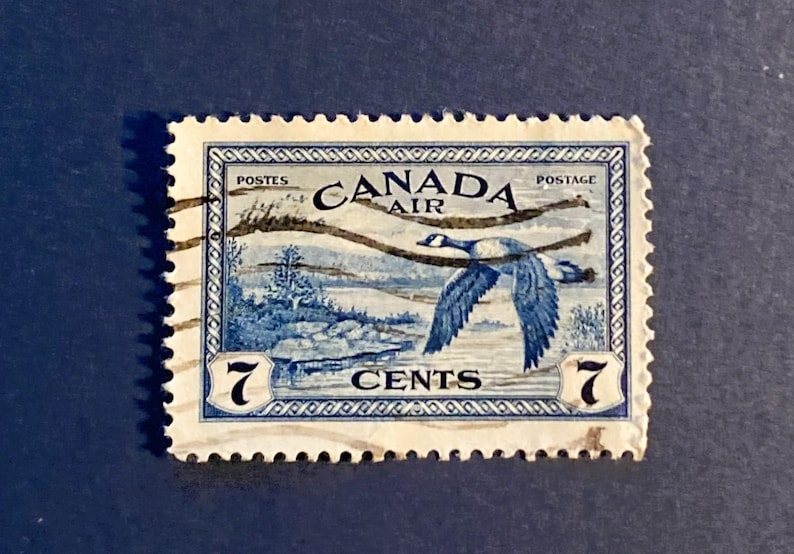 1946 Canadian Goose (branta Canadensis) 7c Air Mail Stamp, Light Cancel ...