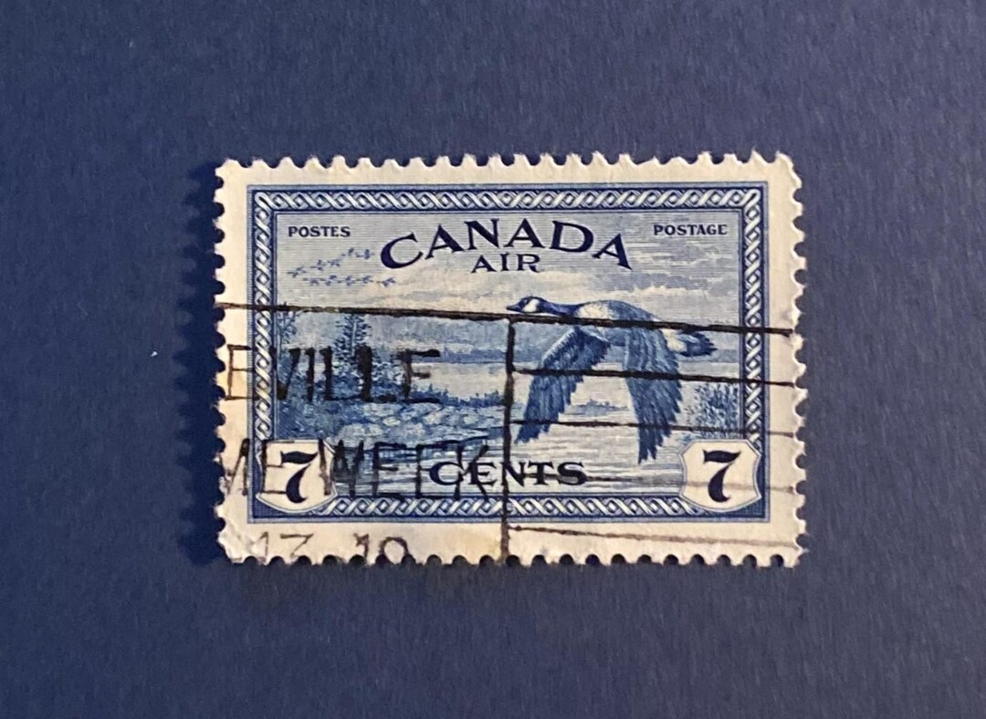 Canadian Goose (branta Canadensis) 7c Air Mail Stamp, Light Cancel, C ...