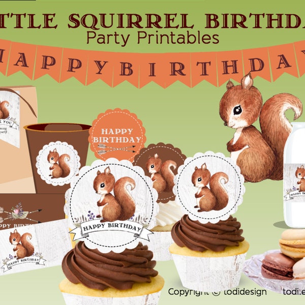 Squirrel Birthday - Etsy