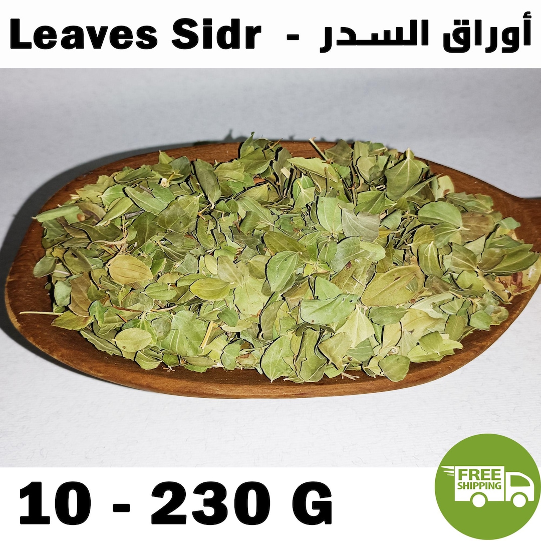 Moroccan Sidr Seder Dried Whole Leaves and Powder Natural Organic Herb ...