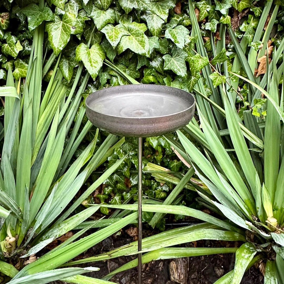 Stainless Steel Bird Bath & Insect Water Bowl: Garden Decor on Stake - Etsy