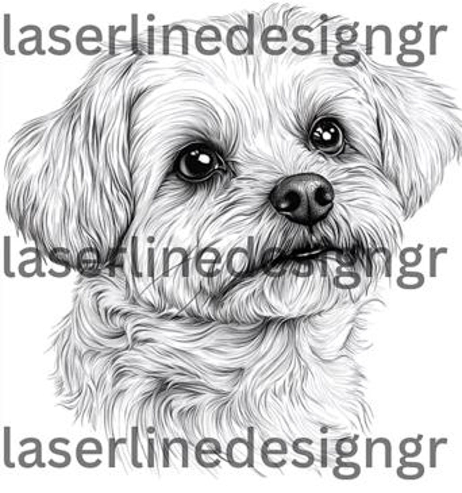 Pet Memorial SVG, Dog Portrait, Maltese Peeking Dog SVG for Laser ...