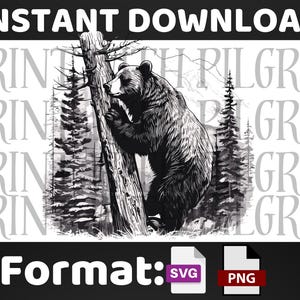 Bear Climbing Tree SVG PNG | Climbing Bear Digital Download | Woodsy ...