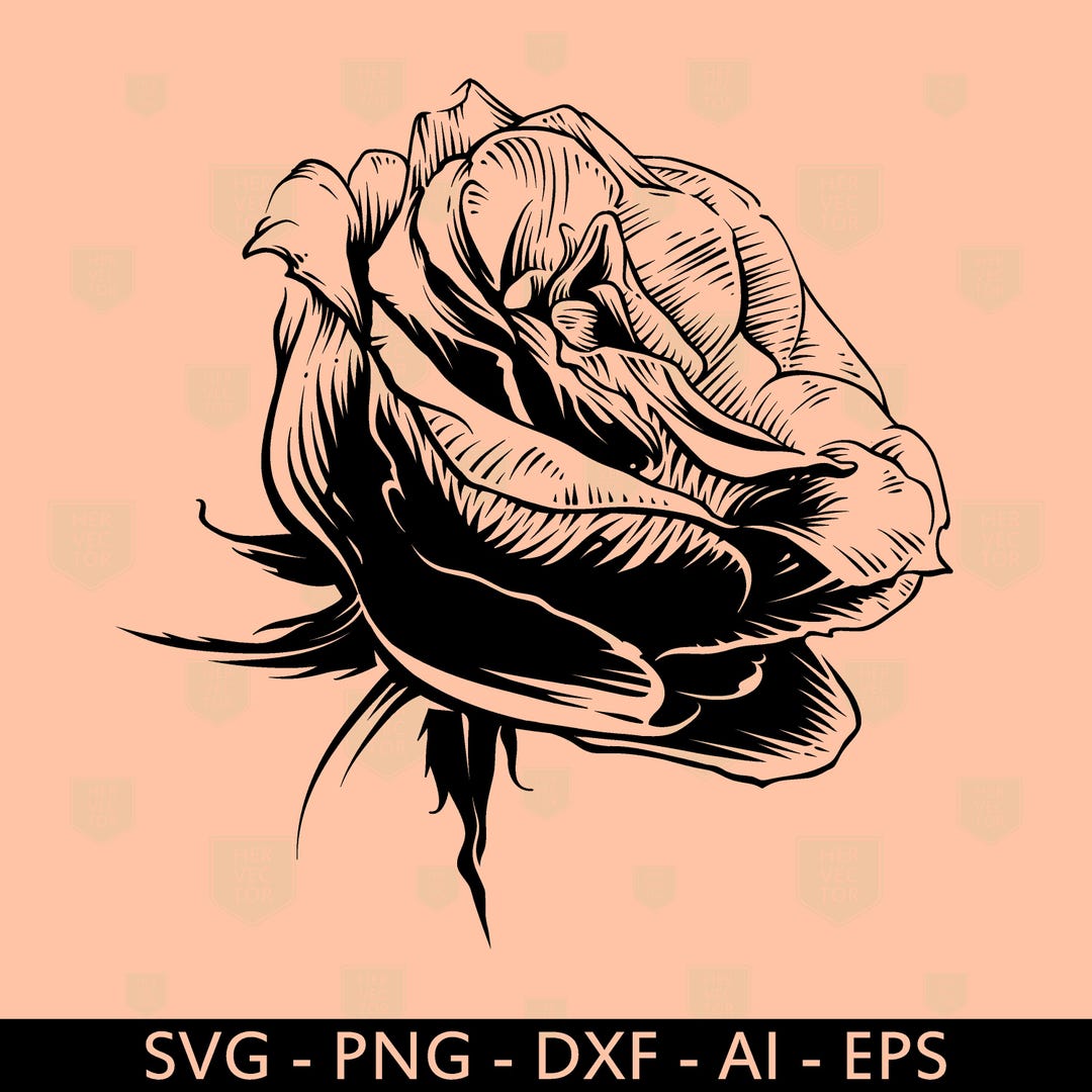Rose Svg, Rose Flower SVG, Rose Tatoo Svg, Tatoo Svg, Floral Decoration ...
