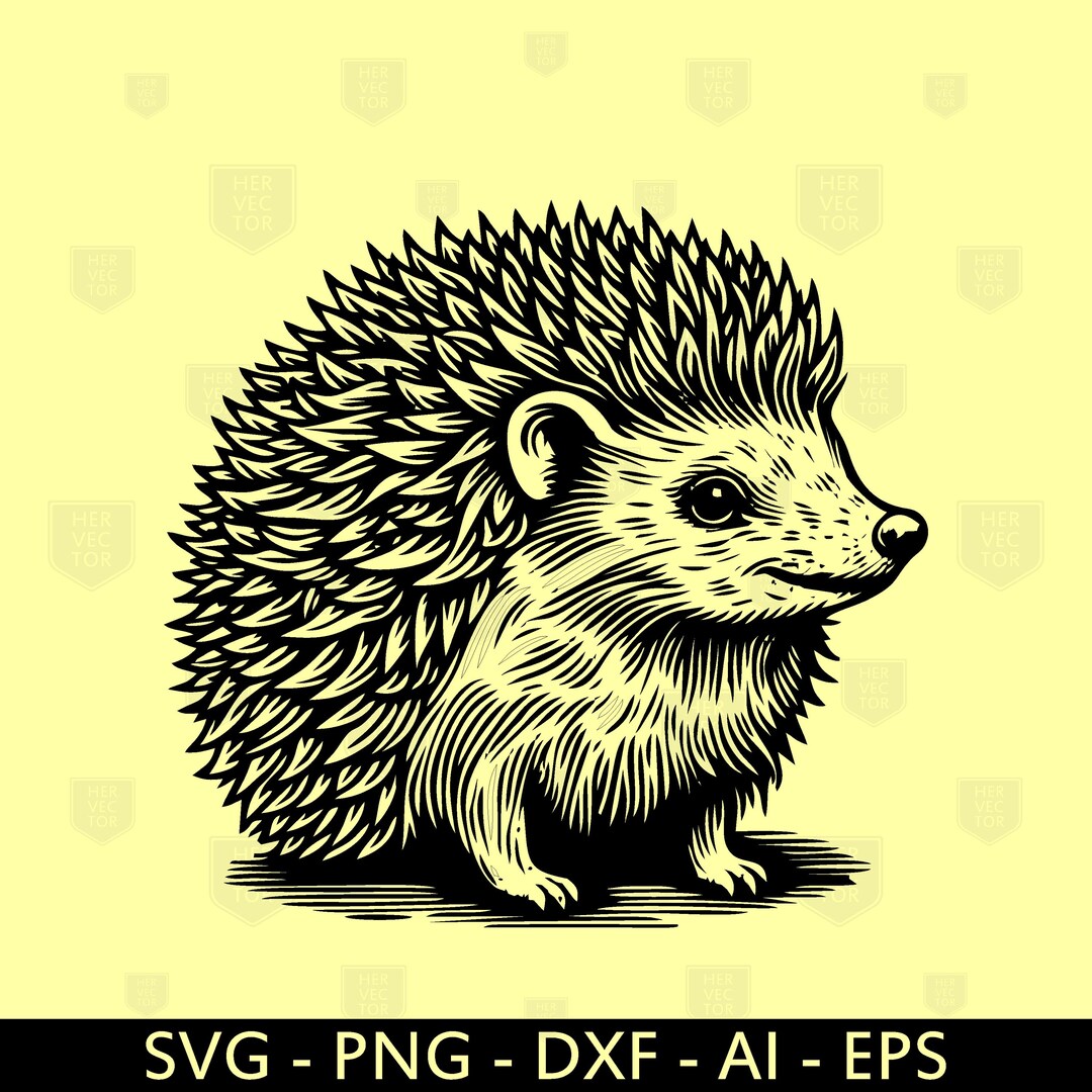 Hedgehog SVG Files, Cute Hedgehog SVG, Hedgehog Png, Hedgehog Clipart ...