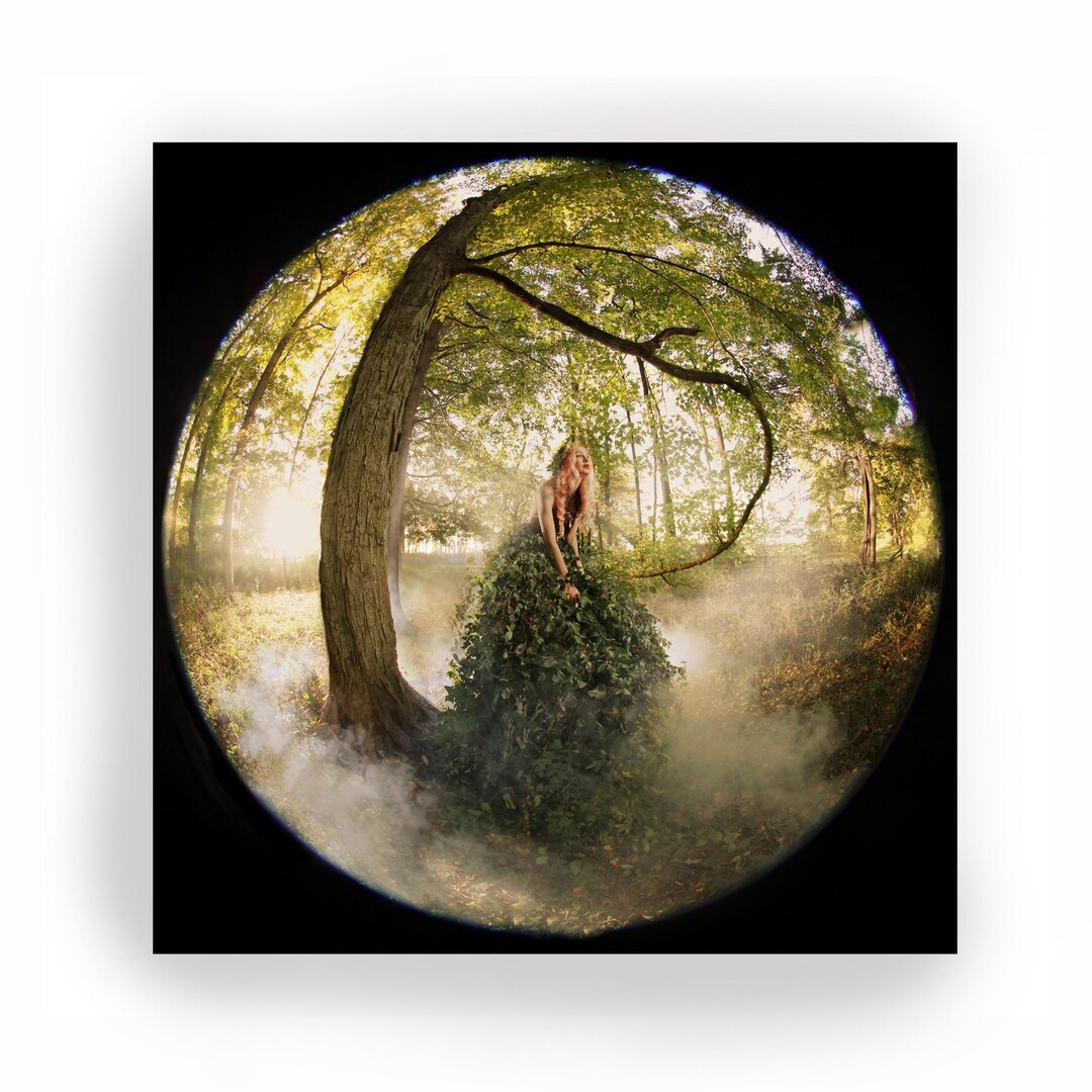 Botanical Beast - 12x12 Signed, Numbered, Fine Art Portrait ...