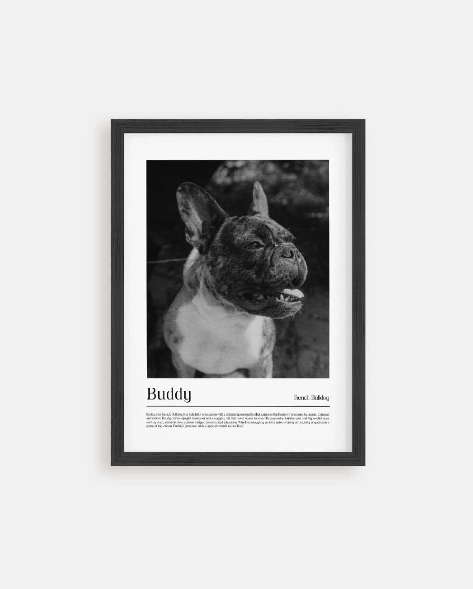 Custom Pet Definition Print, Pet Definition Poster, Personalized Pet ...