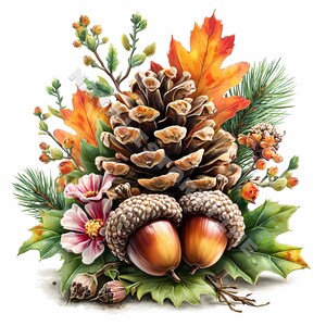 Autumn Pinecone Acorn Clipart Card Design 10 JPG Printable Watercolor ...