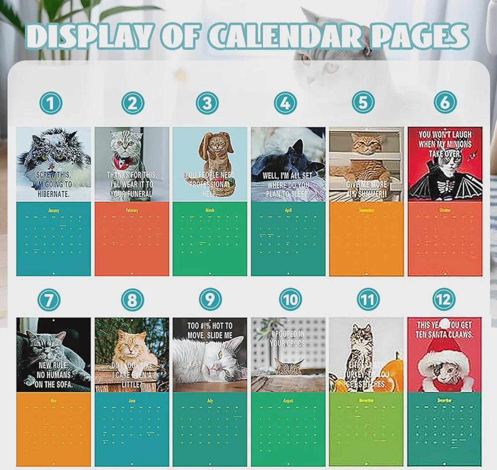 Pissed-off Cats 2026 Wall Calendar – Funny Grumpy Humor Sarcastic ...