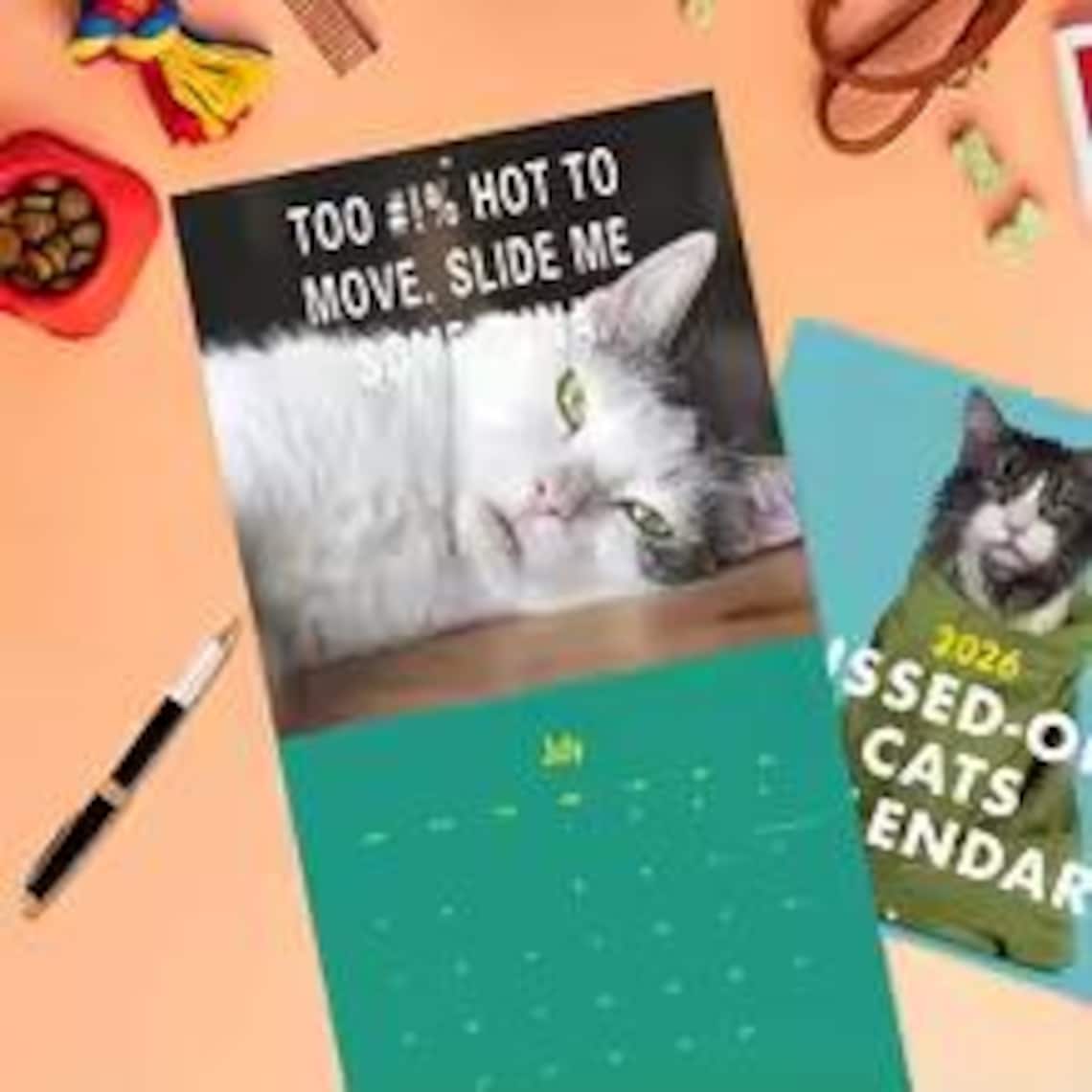 Pissed-off Cats 2026 Wall Calendar – Funny Grumpy Humor Sarcastic ...
