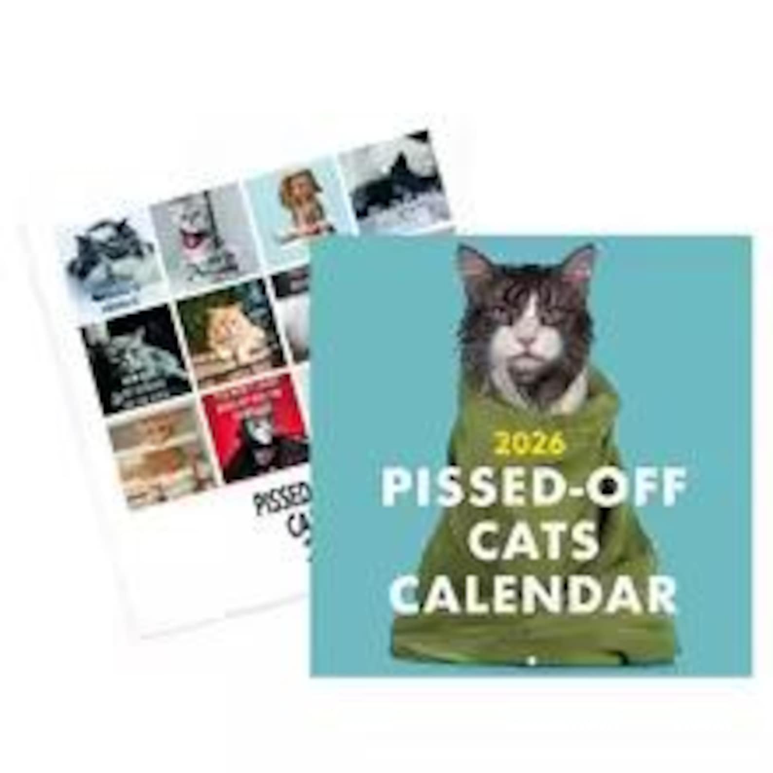 Pissed-off Cats 2026 Wall Calendar – Funny Sarcastic Humor, Cat Lover ...