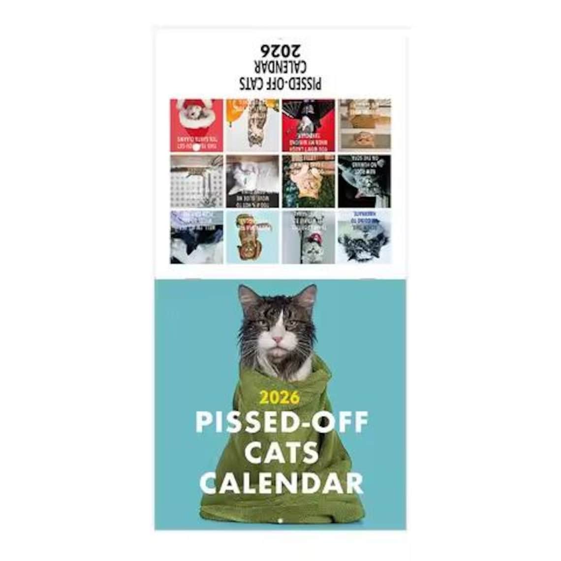 Pissed-off Cats 2026 Wall Calendar – Funny Sarcastic Humor, Cat Lover ...