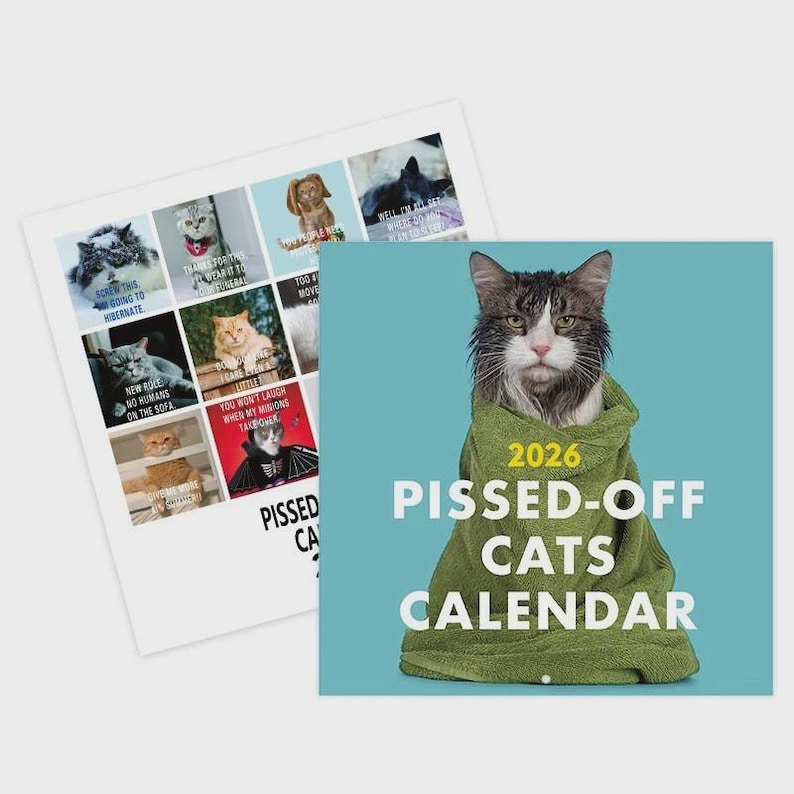 Pissed-off Cats 2026 Wall Calendar – Funny Sarcastic Humor, Cat Lover ...