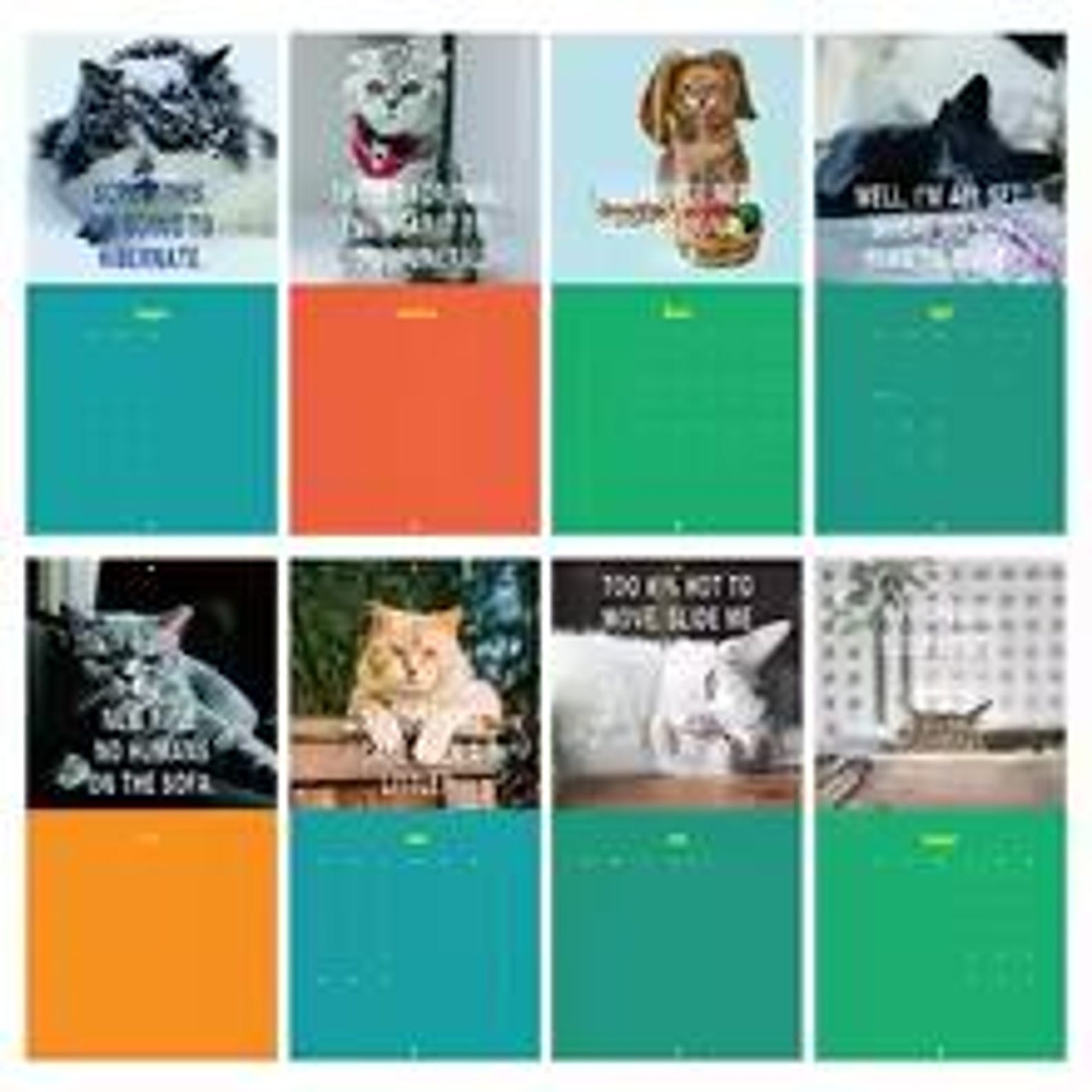 Pissed-off Cats 2026 Wall Calendar – Funny Grumpy Humor Sarcastic ...