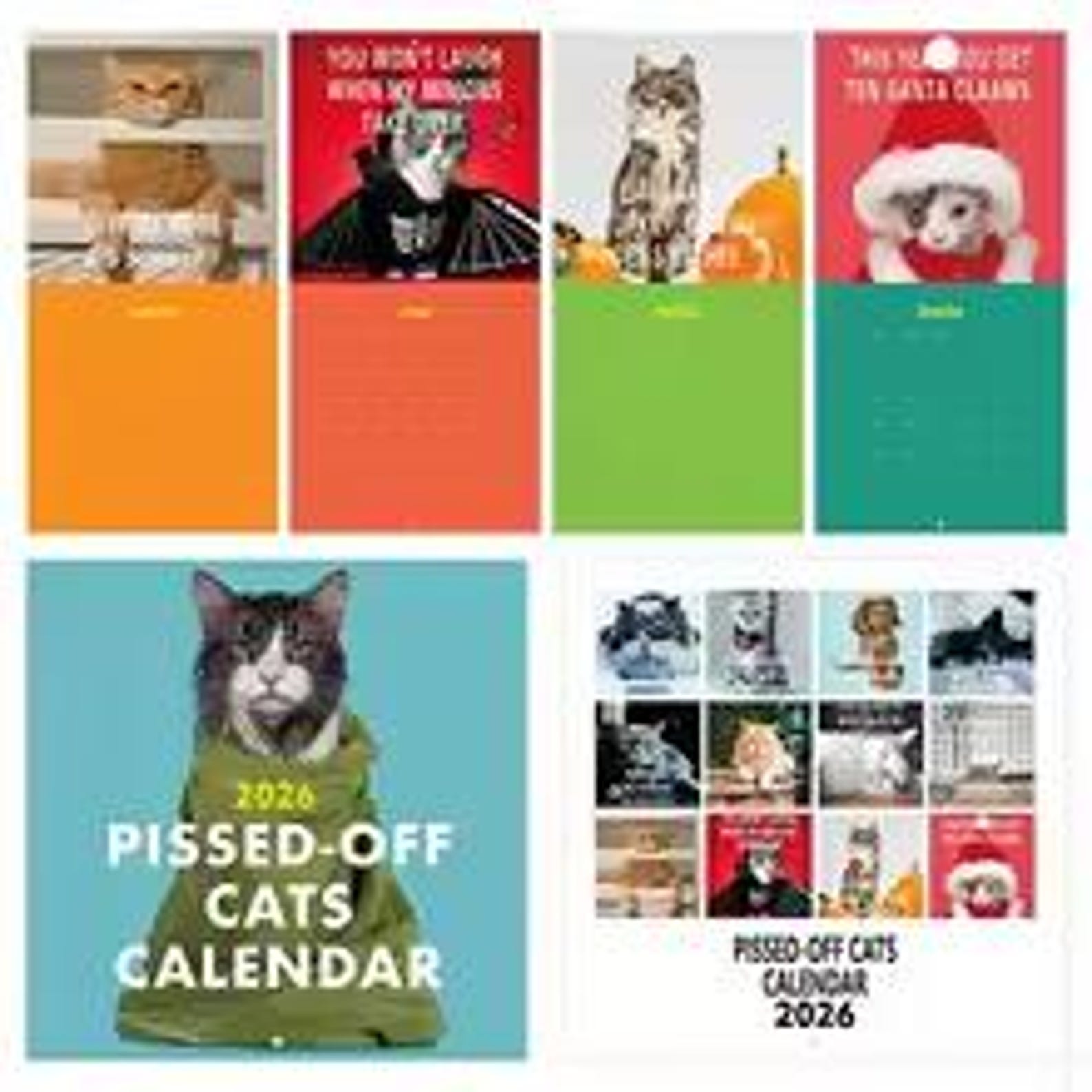 Pissed-off Cats 2026 Wall Calendar – Funny Sarcastic Humor, Cat Lover ...