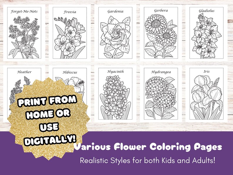Floral Alphabet Digital Coloring Book – 46 Pages of Stunning Flowers ...