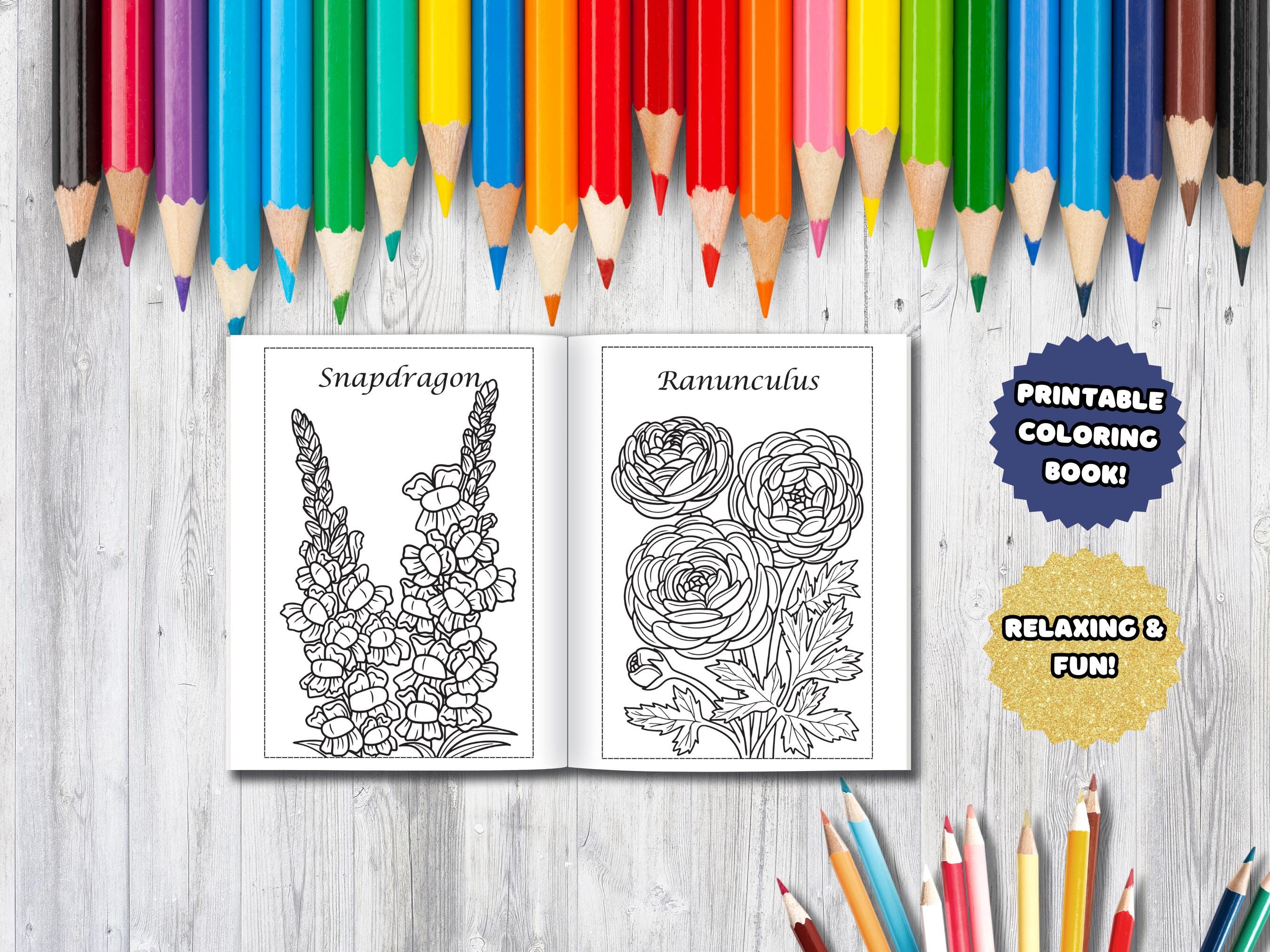 Floral Alphabet Digital Coloring Book – 46 Pages of Stunning Flowers ...