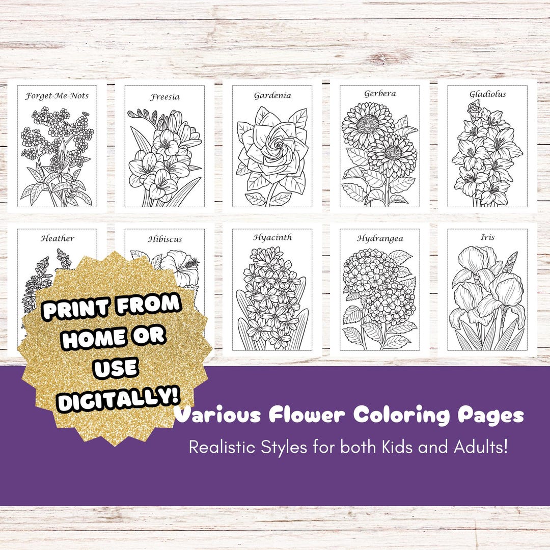 Floral Alphabet Digital Coloring Book – 46 Pages of Stunning Flowers ...