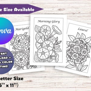 Floral Alphabet Digital Coloring Book – 46 Pages of Stunning Flowers ...