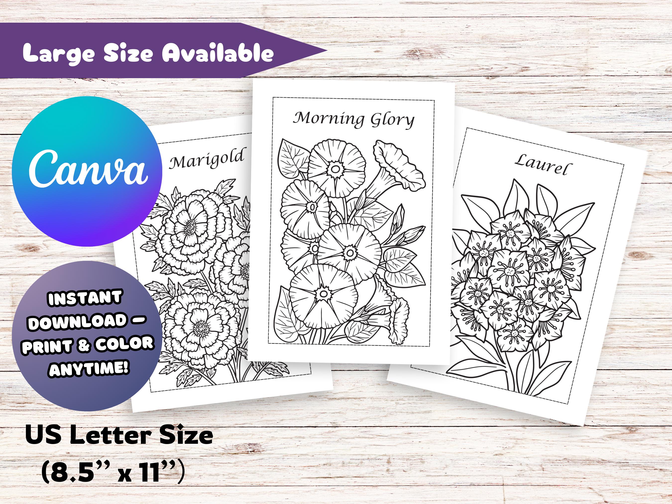 Floral Alphabet Digital Coloring Book – 46 Pages of Stunning Flowers ...
