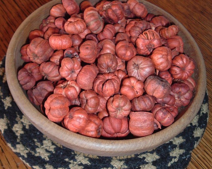 2 Cups Harvest Putka Pods Mini Pumpkin Fixins Potpourri - Etsy