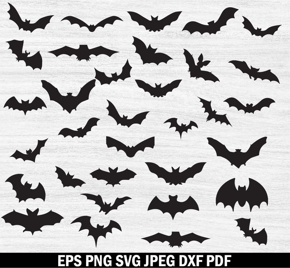 Bat Svg Bundle, Bat Clipart, Bat Png Bundle, Bat Outline, Bat Cut File ...