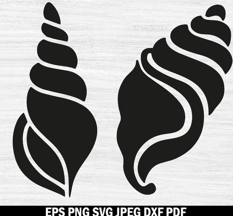 Seashell Svg, Seashell Outline, Solid Seashell, Layered Seashell Svg ...