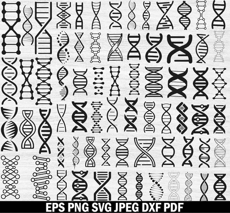 Dna Svg Bundle, Dna Png Bundle, Dna Clipart, Dna Svg Cut Files for ...