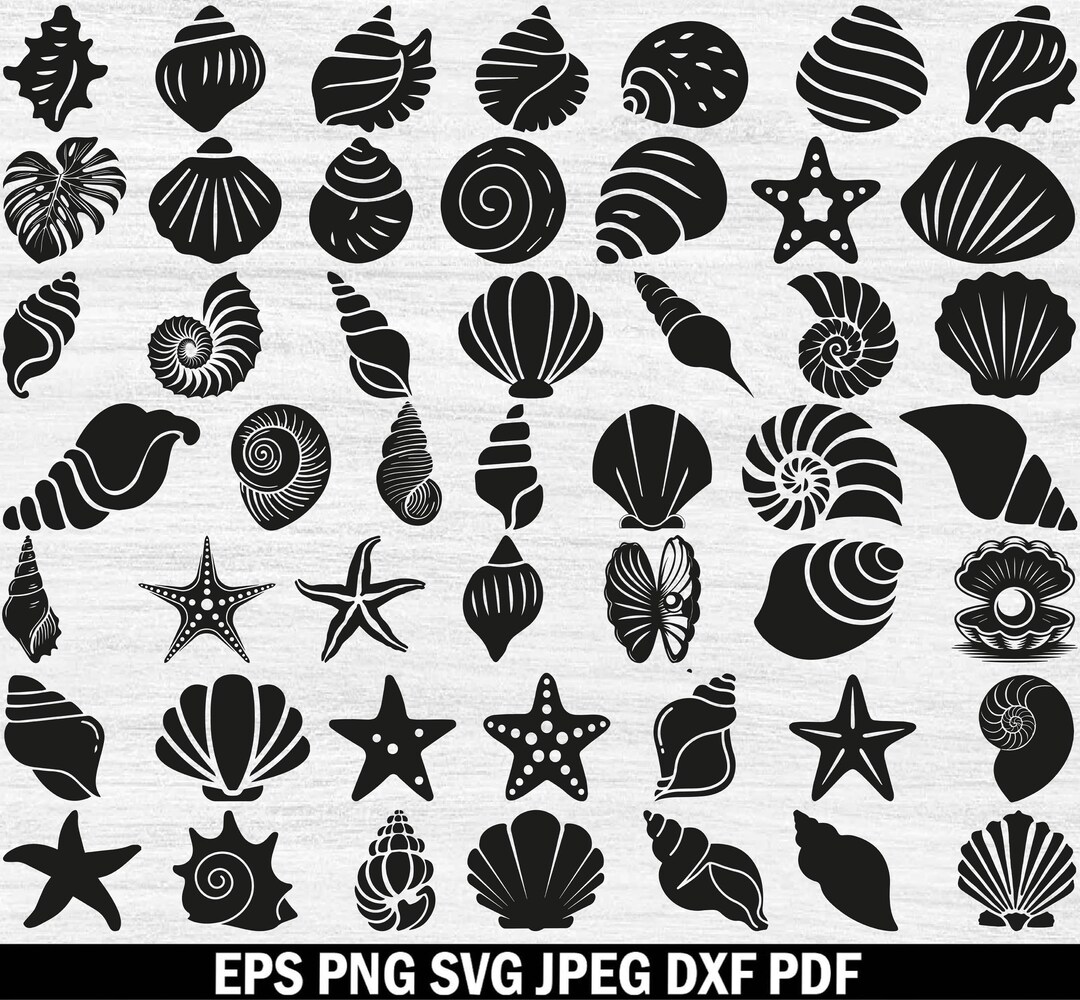 Seashell Svg, Seashell Outline, Solid Seashell, Layered Seashell Svg ...