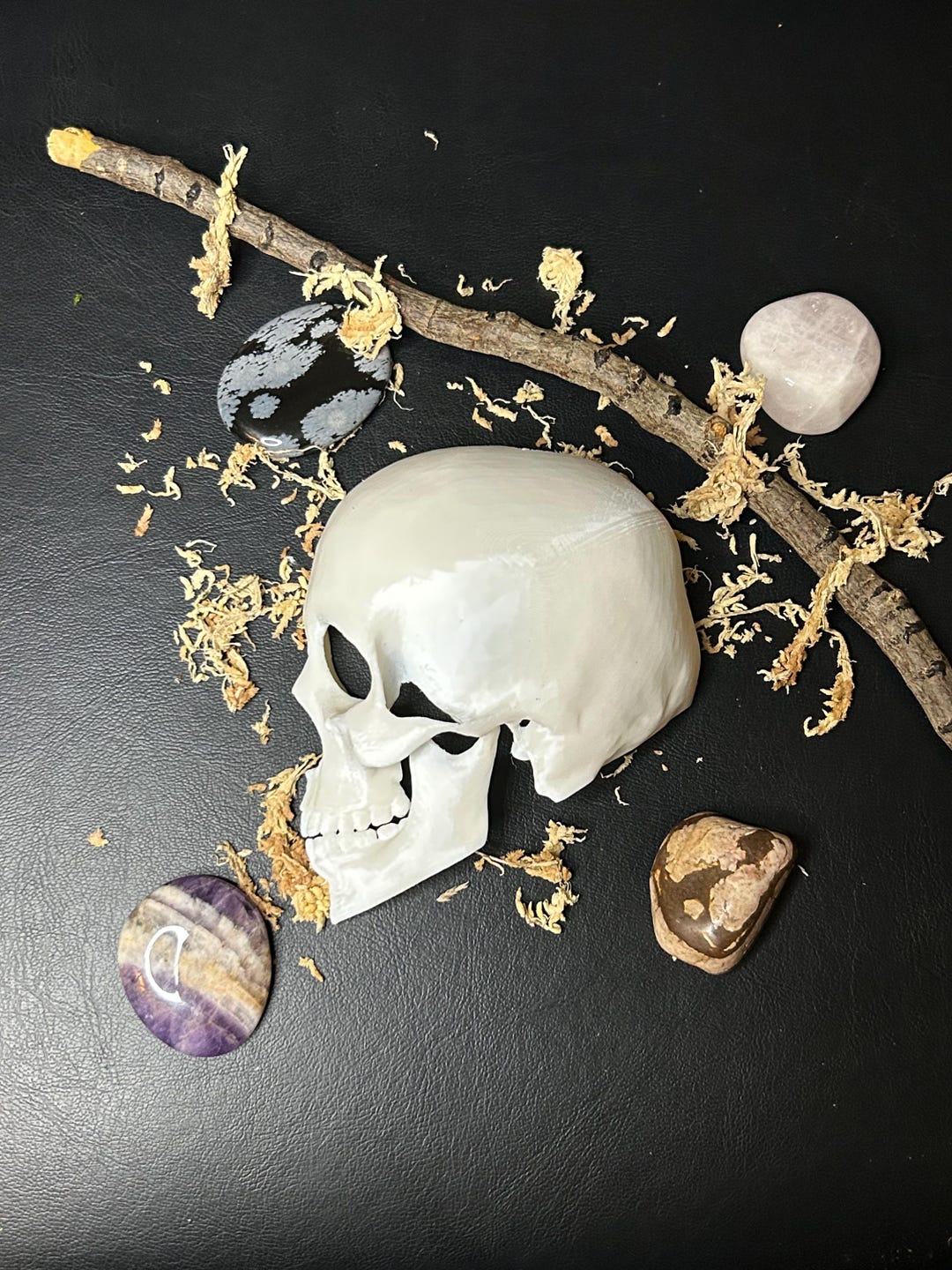 Side Skull Head Tarantula Hide - Etsy