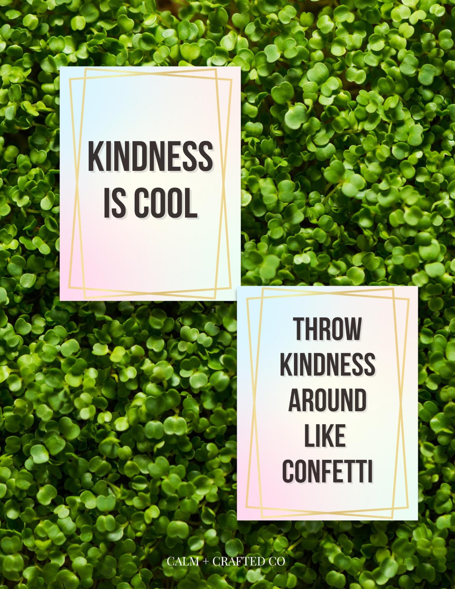 Kindness Affirmation Station for Kids, Printable Positive Affirmations ...