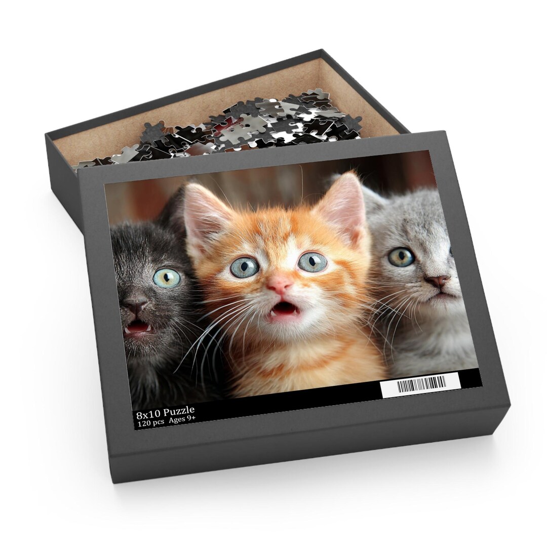 Surprised Kittens Photo Puzzle | 500-piece Chipboard Jigsaw - Etsy