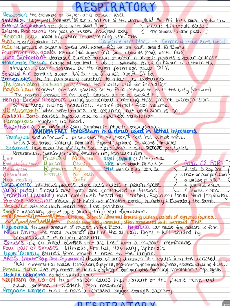 Paramedic Respiratory Notes - Etsy