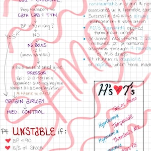 Paramedic ACLS Notes - Etsy