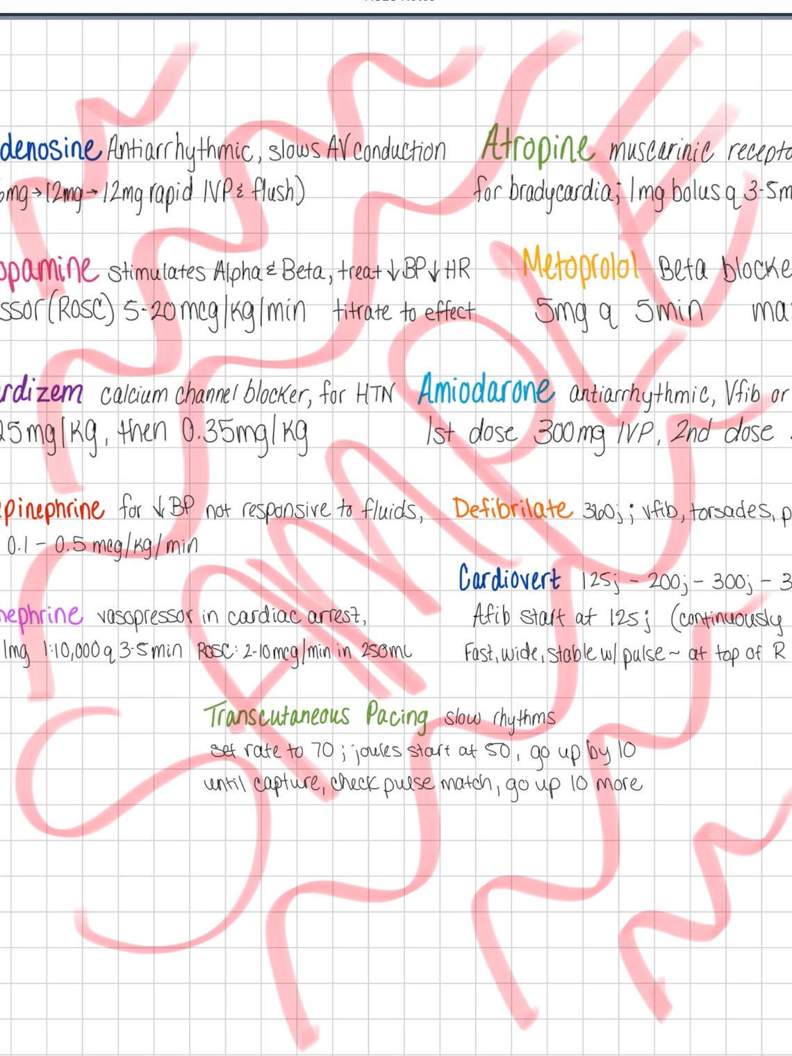 Paramedic ACLS Notes - Etsy