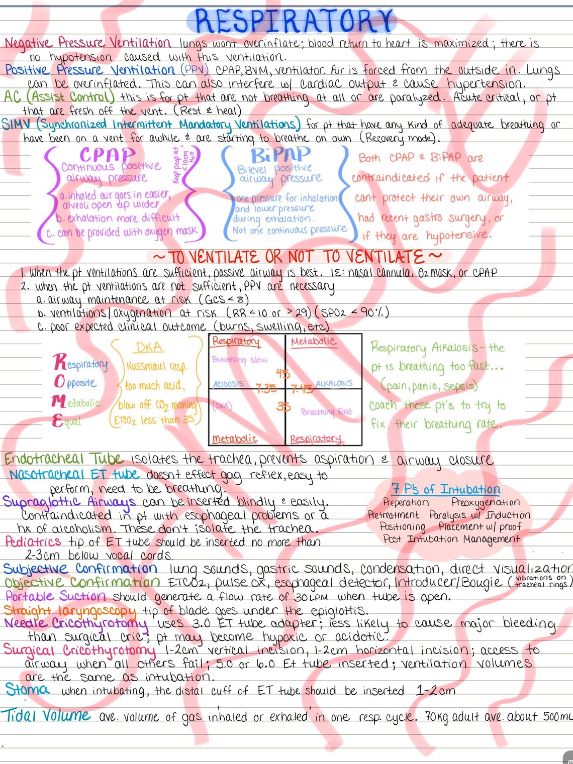 Paramedic Respiratory Notes - Etsy