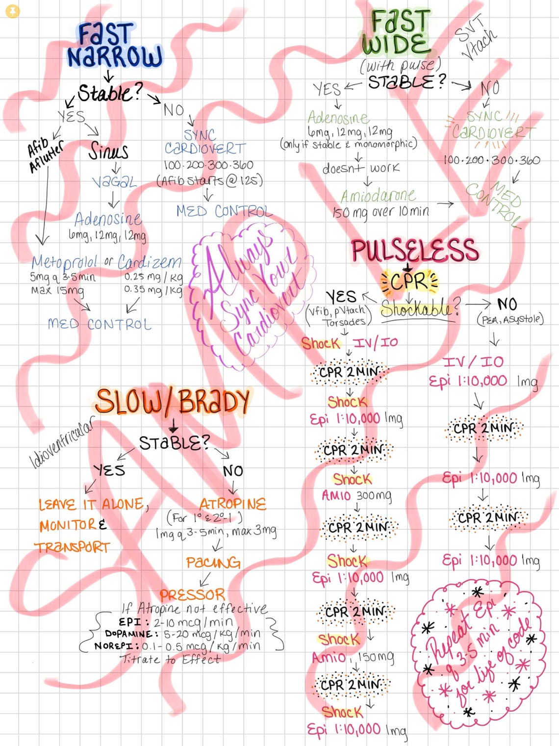 Paramedic ACLS Notes - Etsy