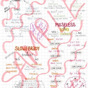 Paramedic ACLS Notes - Etsy