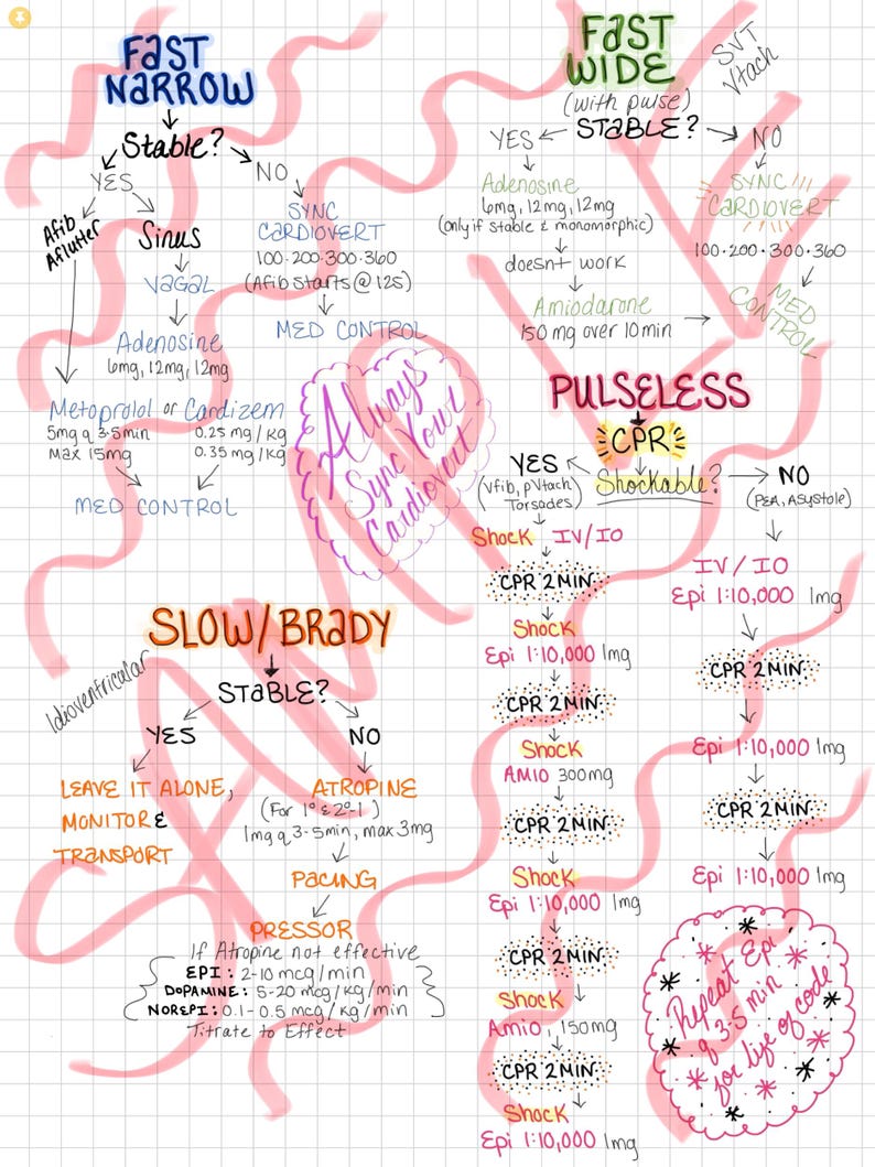 Paramedic ACLS Notes - Etsy