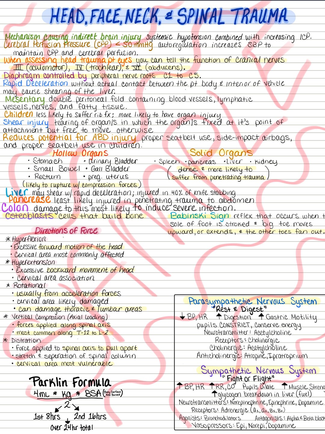 Paramedic Trauma Notes 02 - Etsy