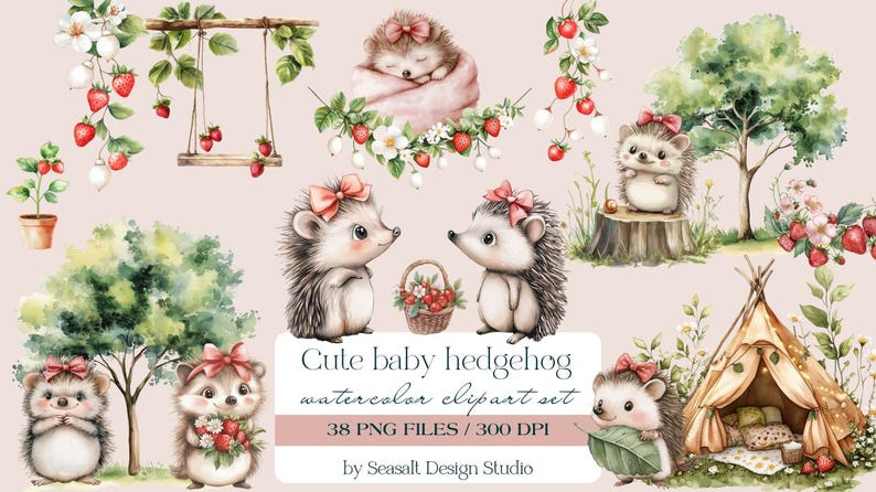 Hedgehog Baby Clipart, Baby Hedgehog PNG, Hedgehog PNG Bundle, Hedgehog ...