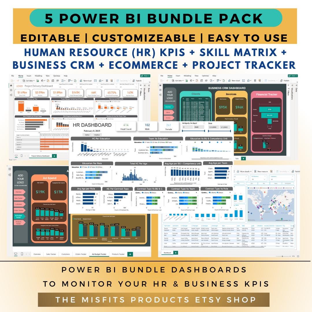Power BI Bundle of 5 | HR + Skill Matrix + CRM + Ecommerce + Projects ...