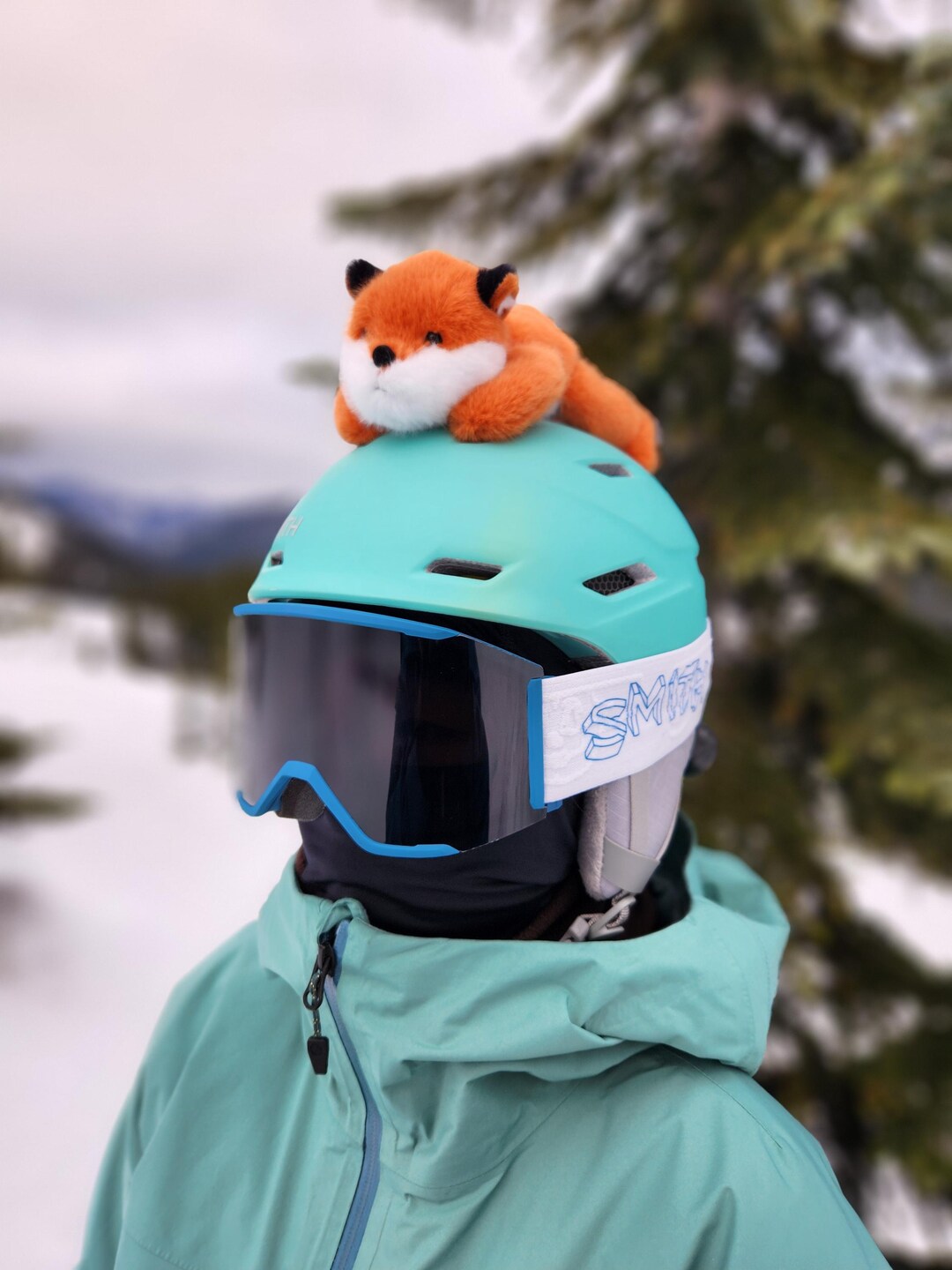 Fox, Duck, Shiba Inu Plush Helmet Accessory: Universal Fit, Clip-on ...