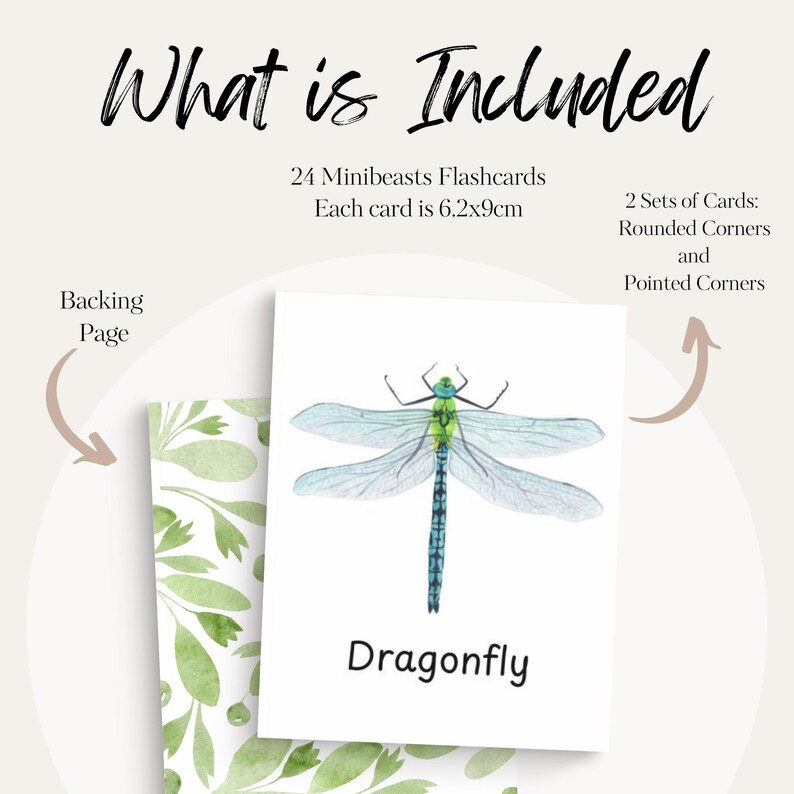 24 Minibeast Flashcards, Insect Identification, Bugs, Printable ...