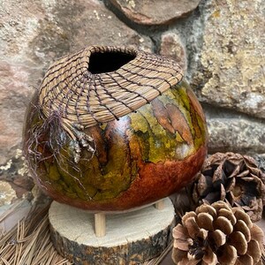 Gourds - Etsy