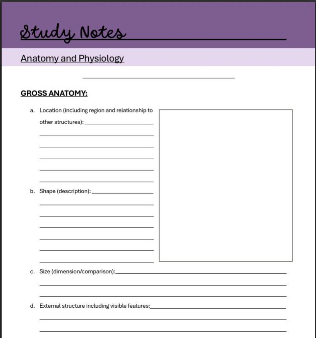 Printable Anatomy and Physiology Study Notes Purple Template - Etsy